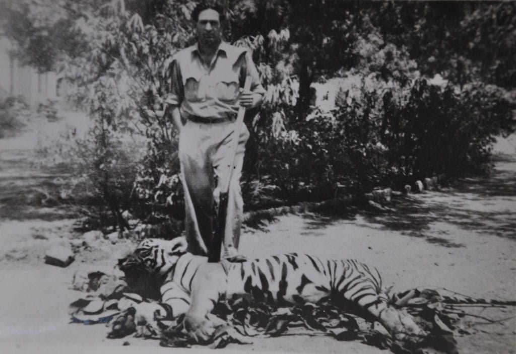 Kailash Sankhala:TIGER! The Story Of The Indian Tiger