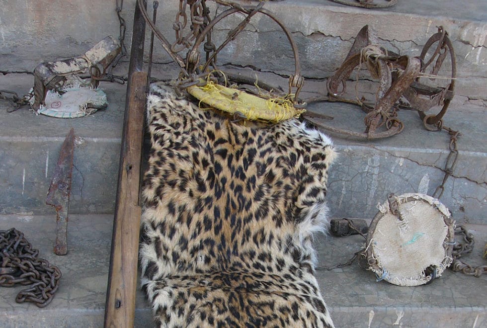 Gallery - Rajasthan Biodiversity Network