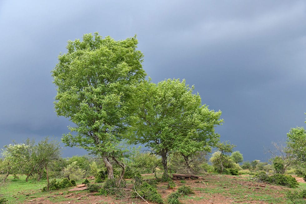 Gallery - Rajasthan Biodiversity Network