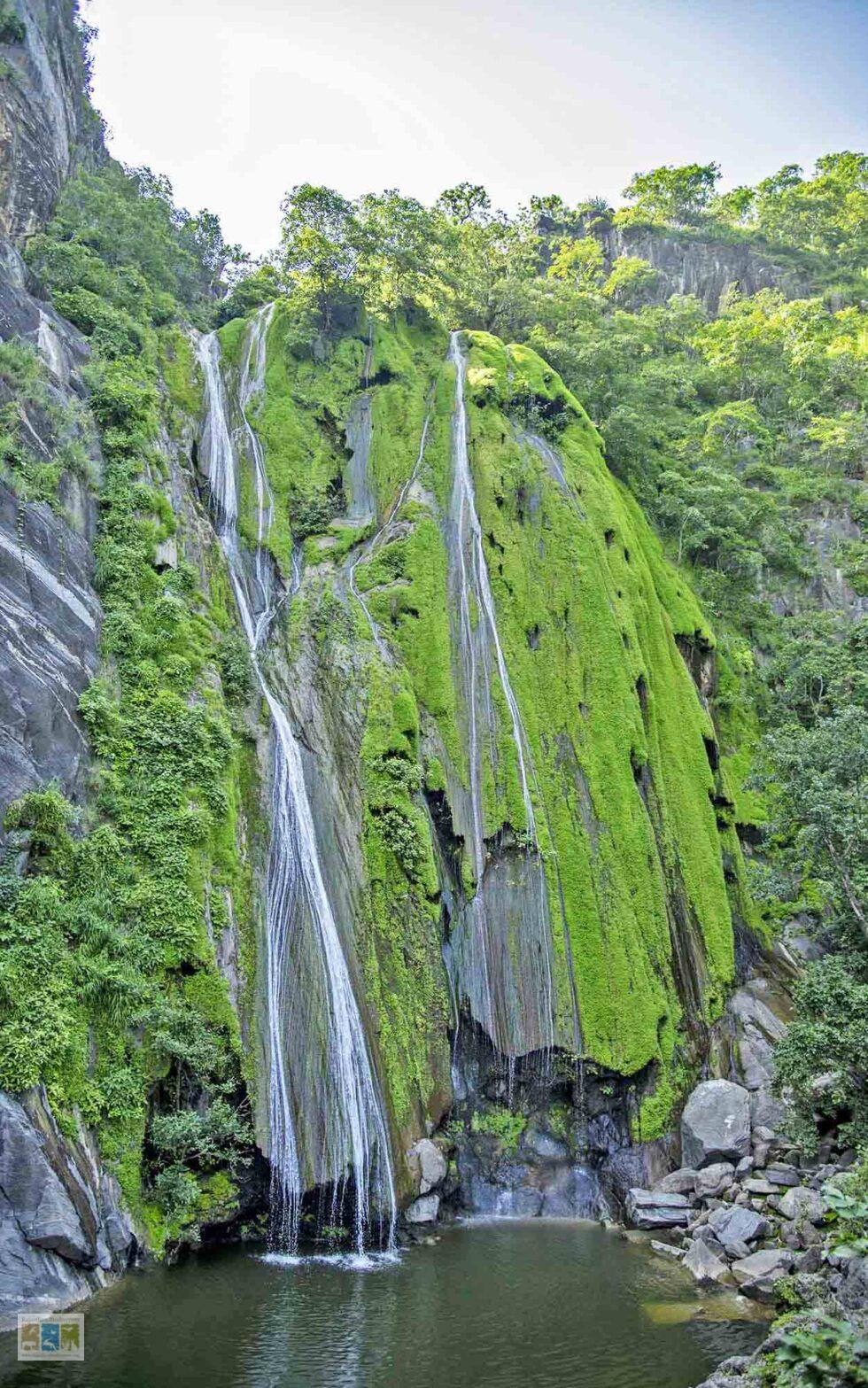 टॉडगढ़ रावली वन्यजीव अभ्यारण्य