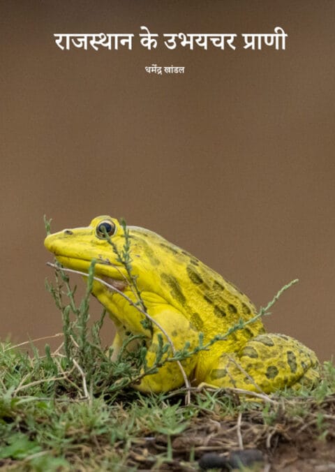 Amphibians of Rajasthan state - Rajasthan Biodiversity Network